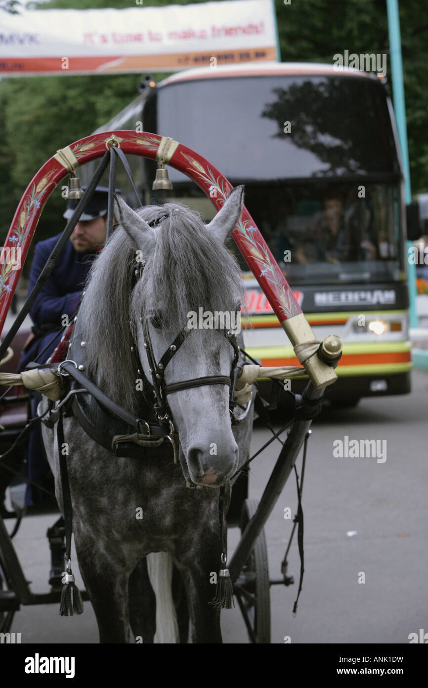 Russian carriage racing hi-res stock photography and images - Alamy