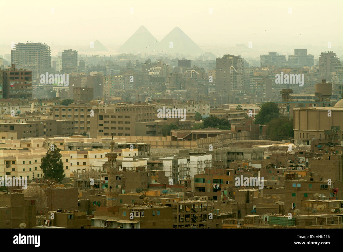 View across Cairo and the pyramids from the citadel Stock Photo - Alamy