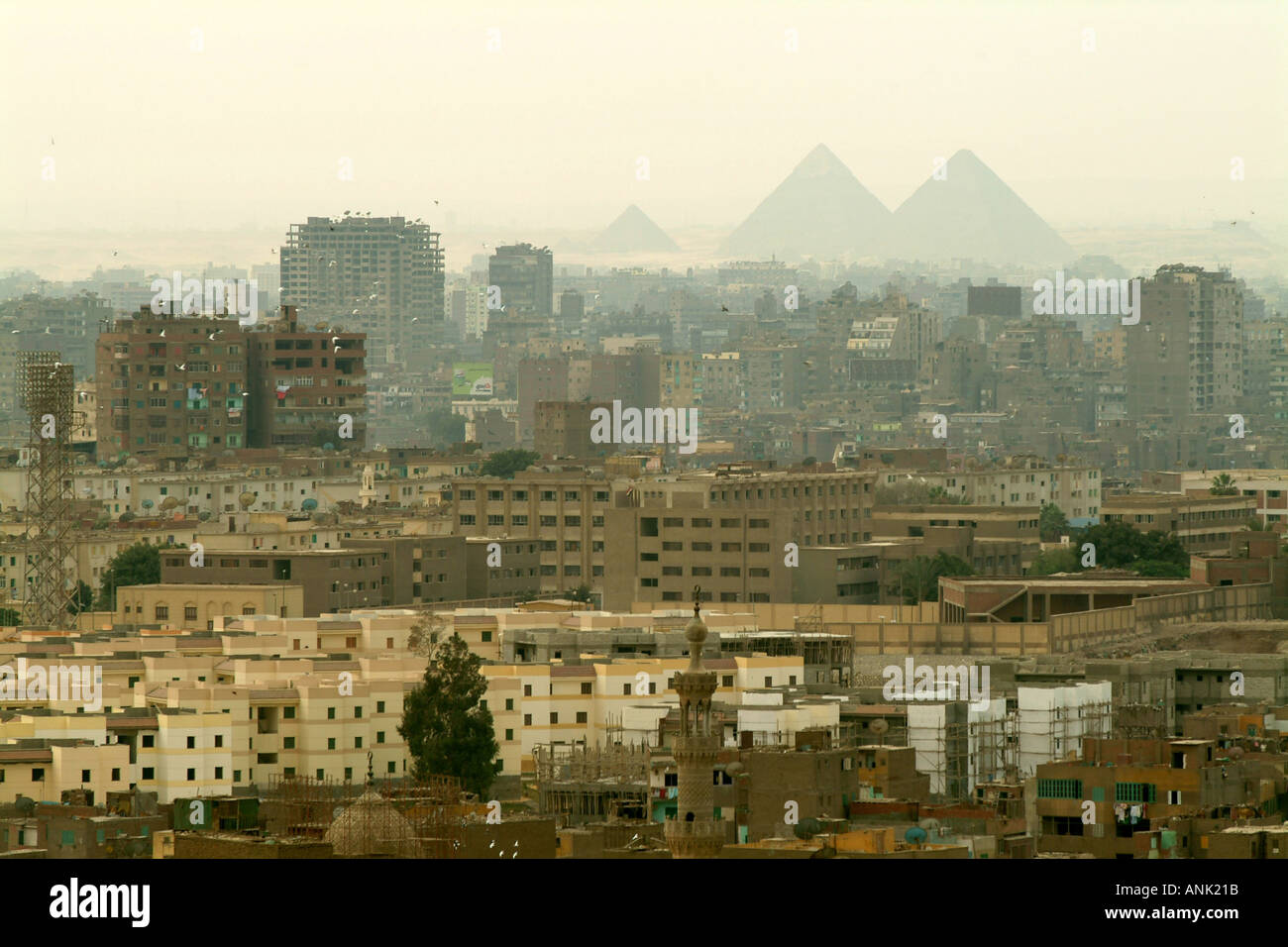 View across Cairo and the pyramids from the citadel Stock Photo - Alamy
