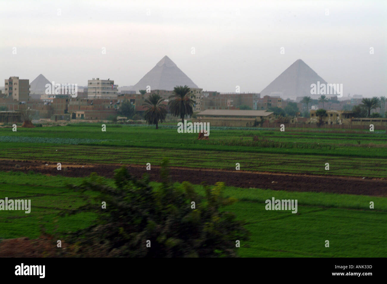 Part of Cairo and the three pyramids of Giza in Egypt Stock Photo - Alamy