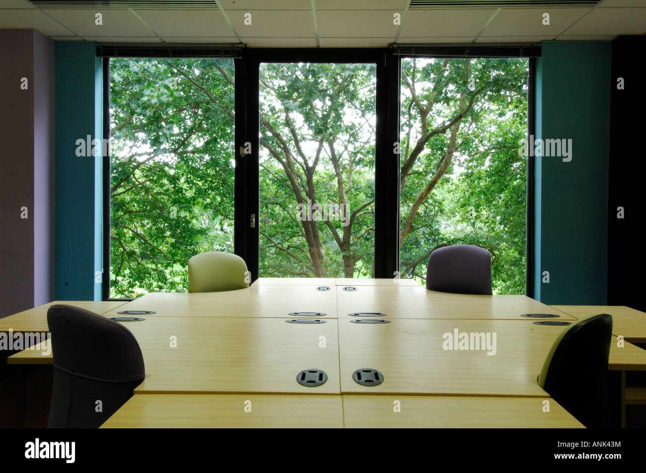 a modern office building empty meeting boardroom committee room with ...