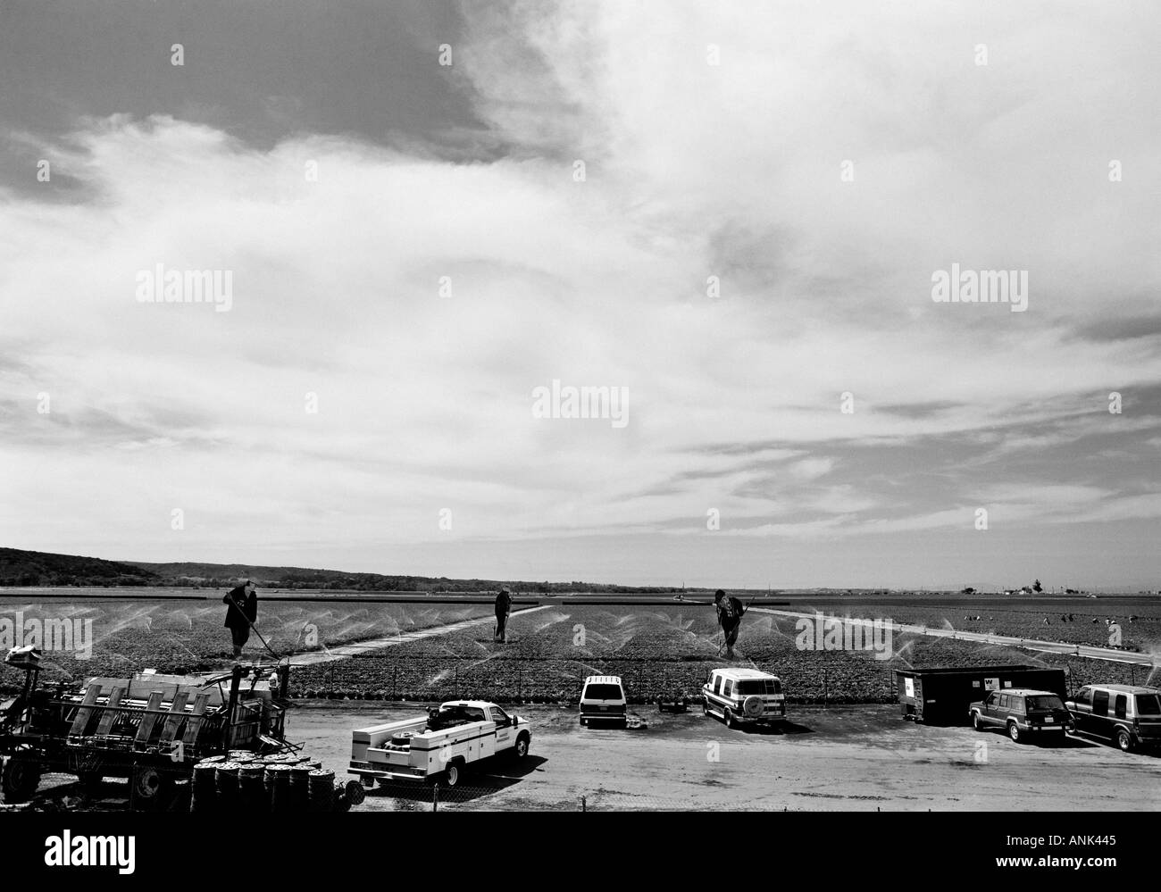 Agricultural scale Black and White Stock Photos & Images - Alamy
