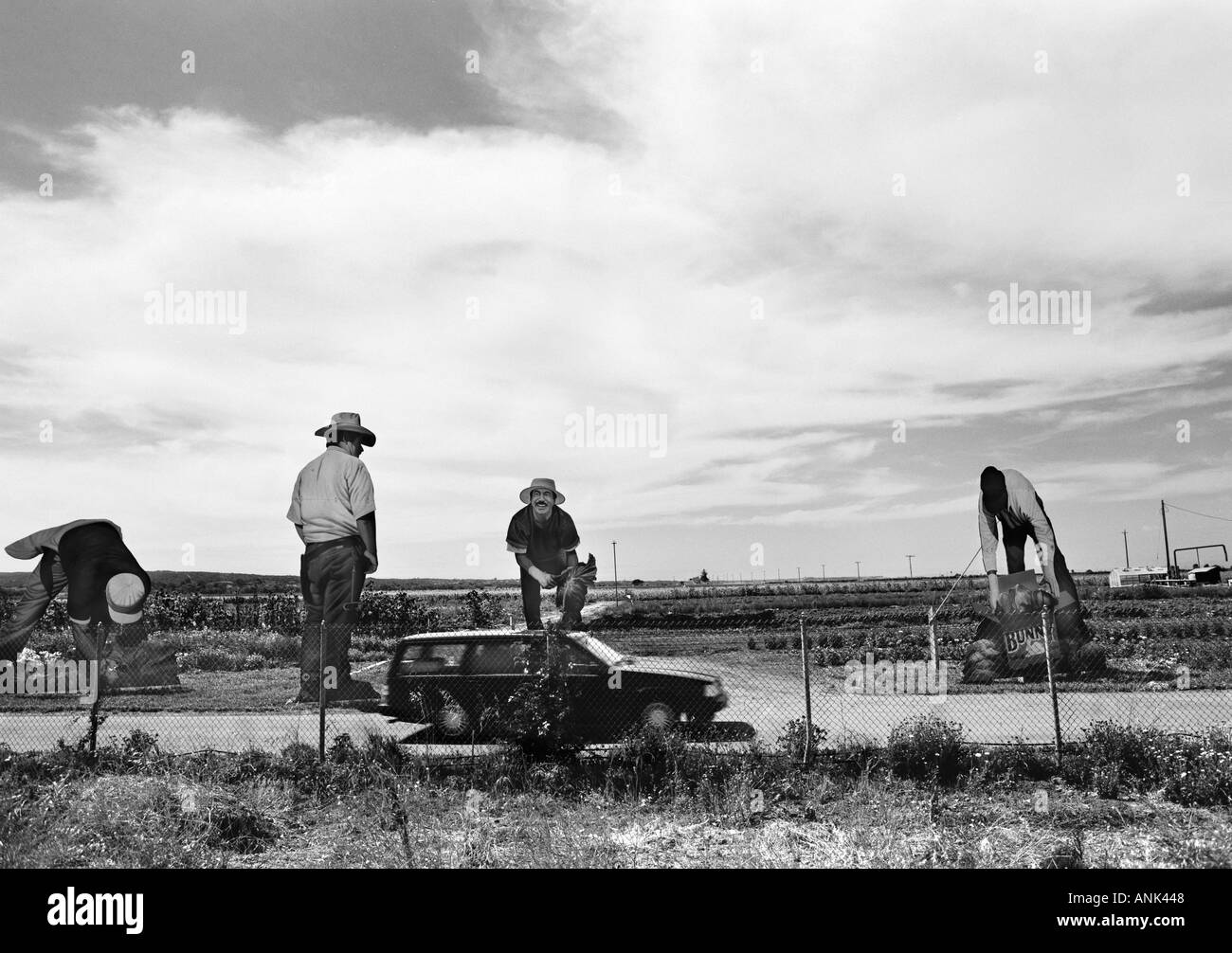 Agricultural scale Black and White Stock Photos & Images - Alamy