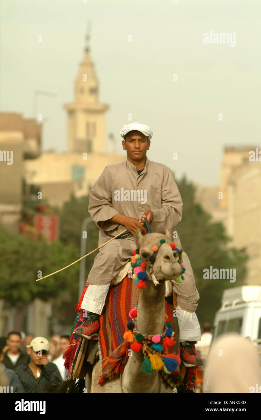 Egyptian riding a camel in Egypt Stock Photo - Alamy