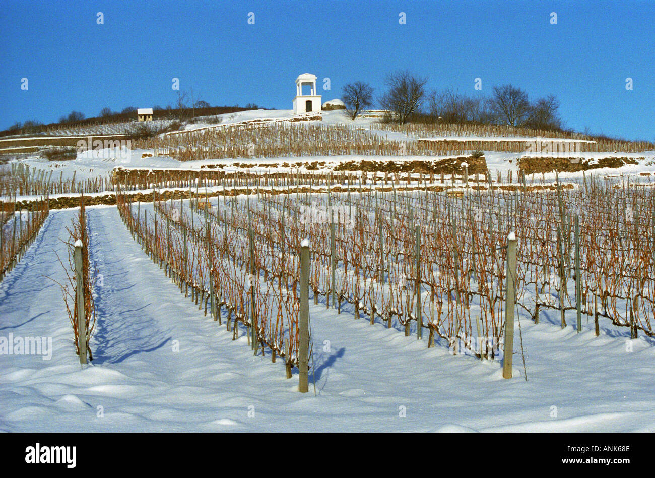 The Disznoko vineyard with a watch tower under snow in winter. The ...