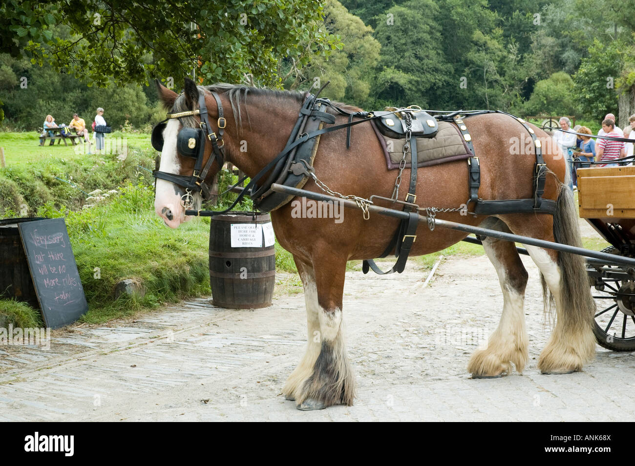 Harnessed to a cart hi-res stock photography and images - Alamy