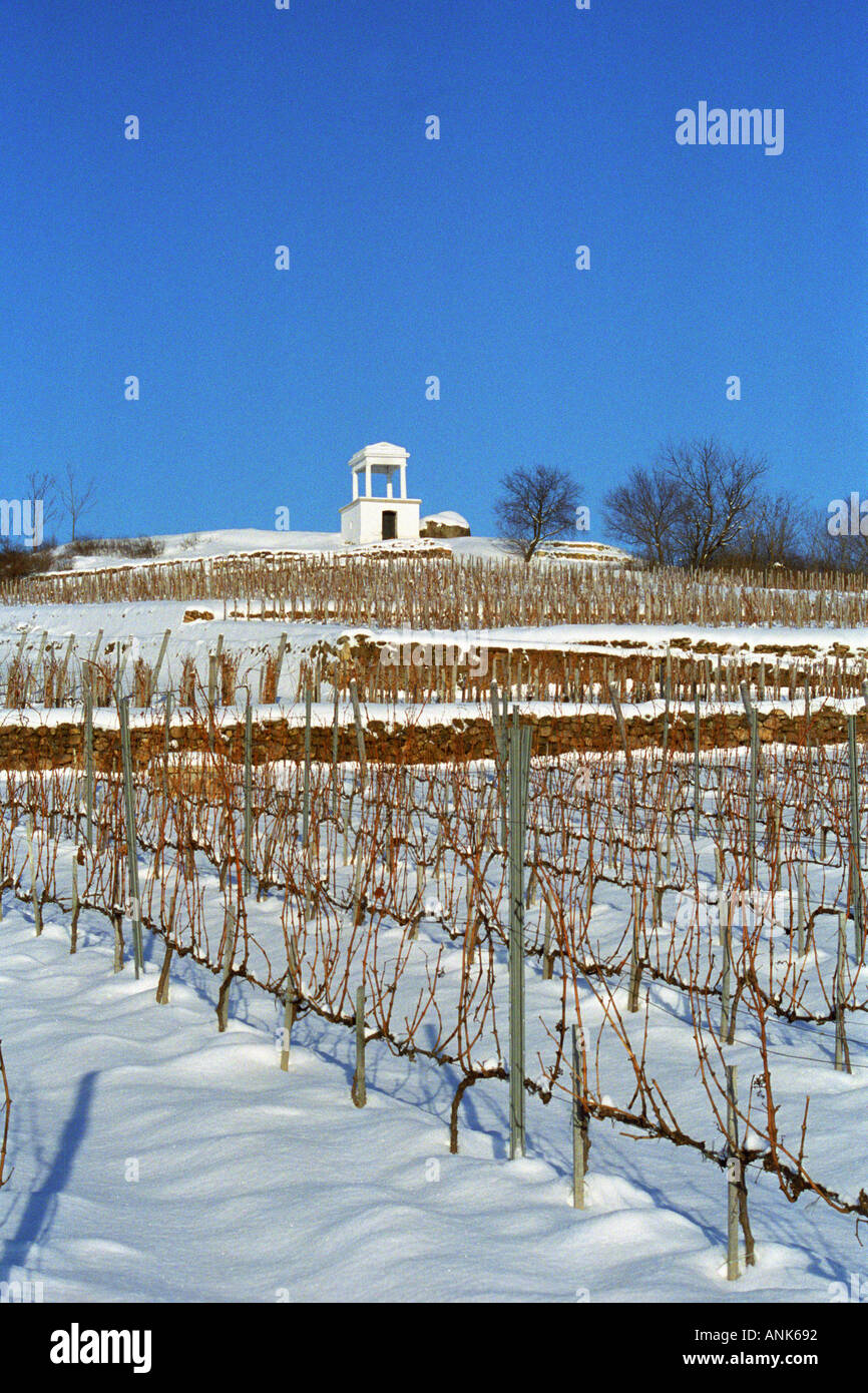 The Disznoko vineyard with a watch tower and the rock that has given ...