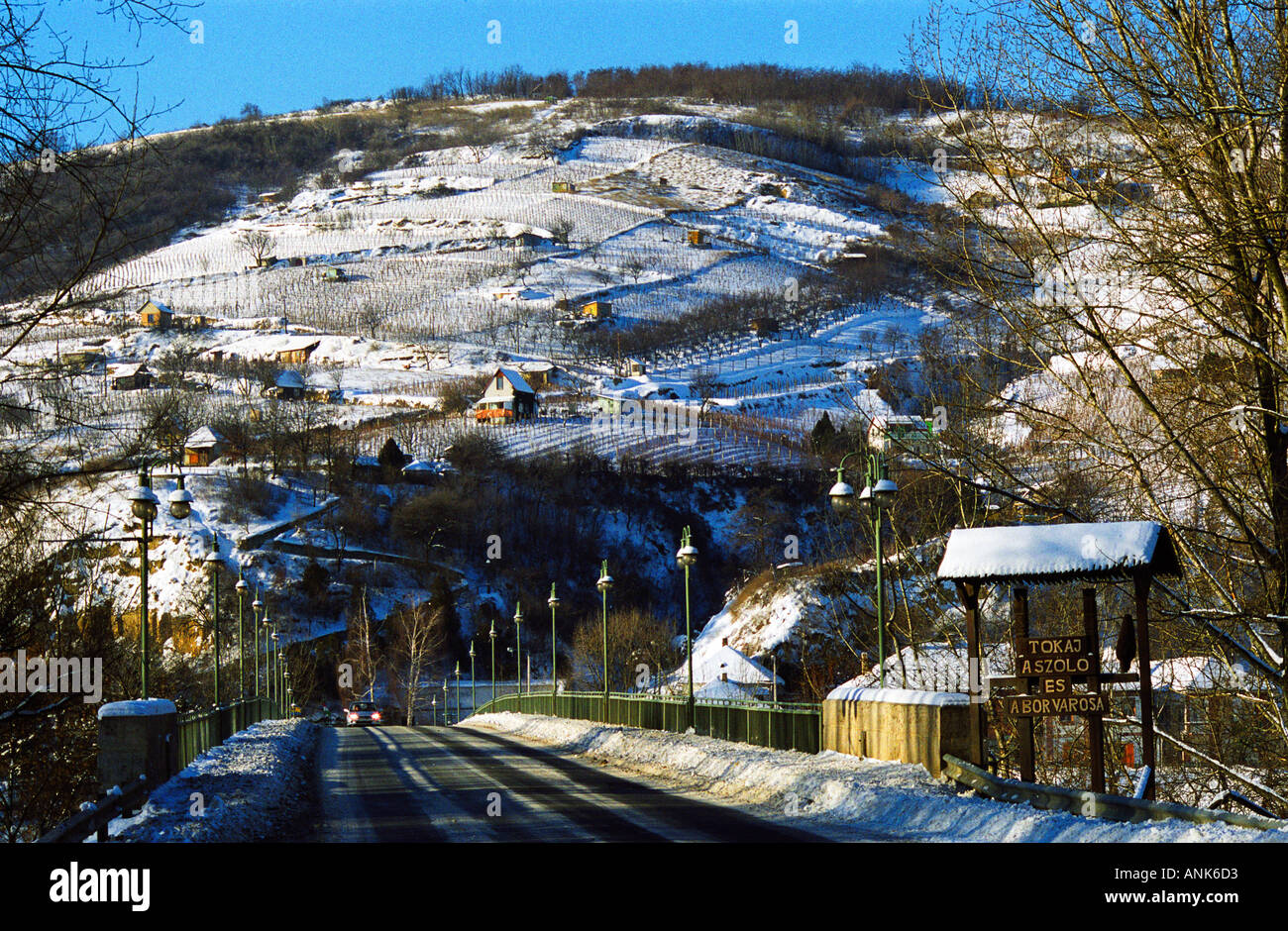 The wine village Tokaj at the confluence of the Bodrog and Tiza river ...