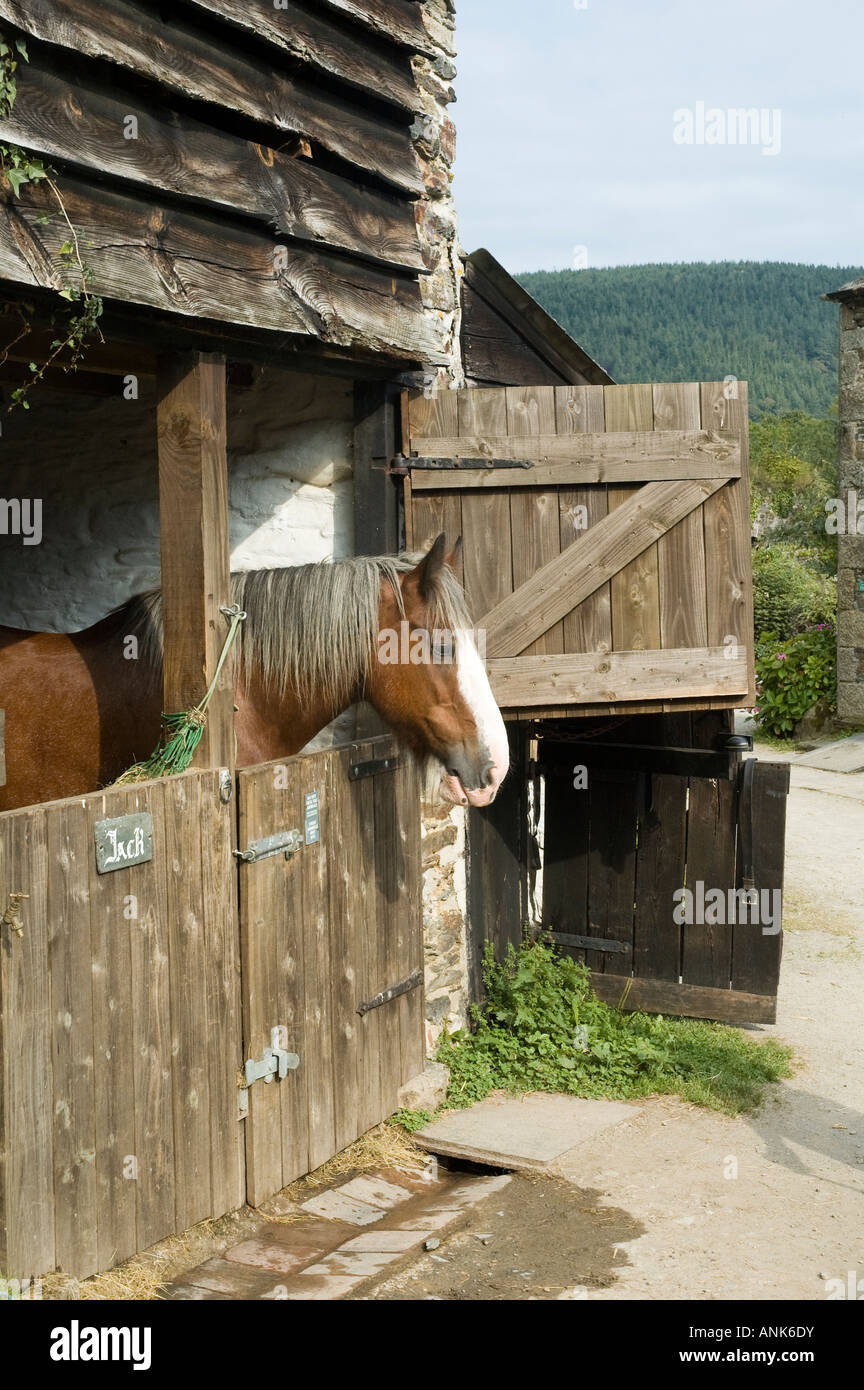 A brown and white horse looking out of a wooden stable Stock Photo - Alamy