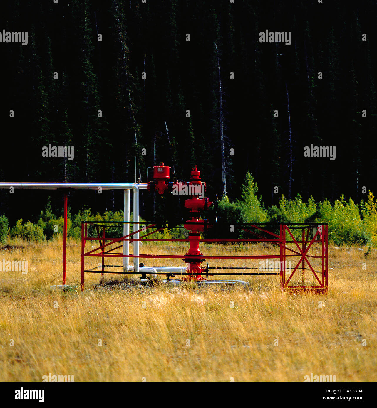 oil pipeline Alaska USA. Photo by Willy Matheisl Stock Photo - Alamy