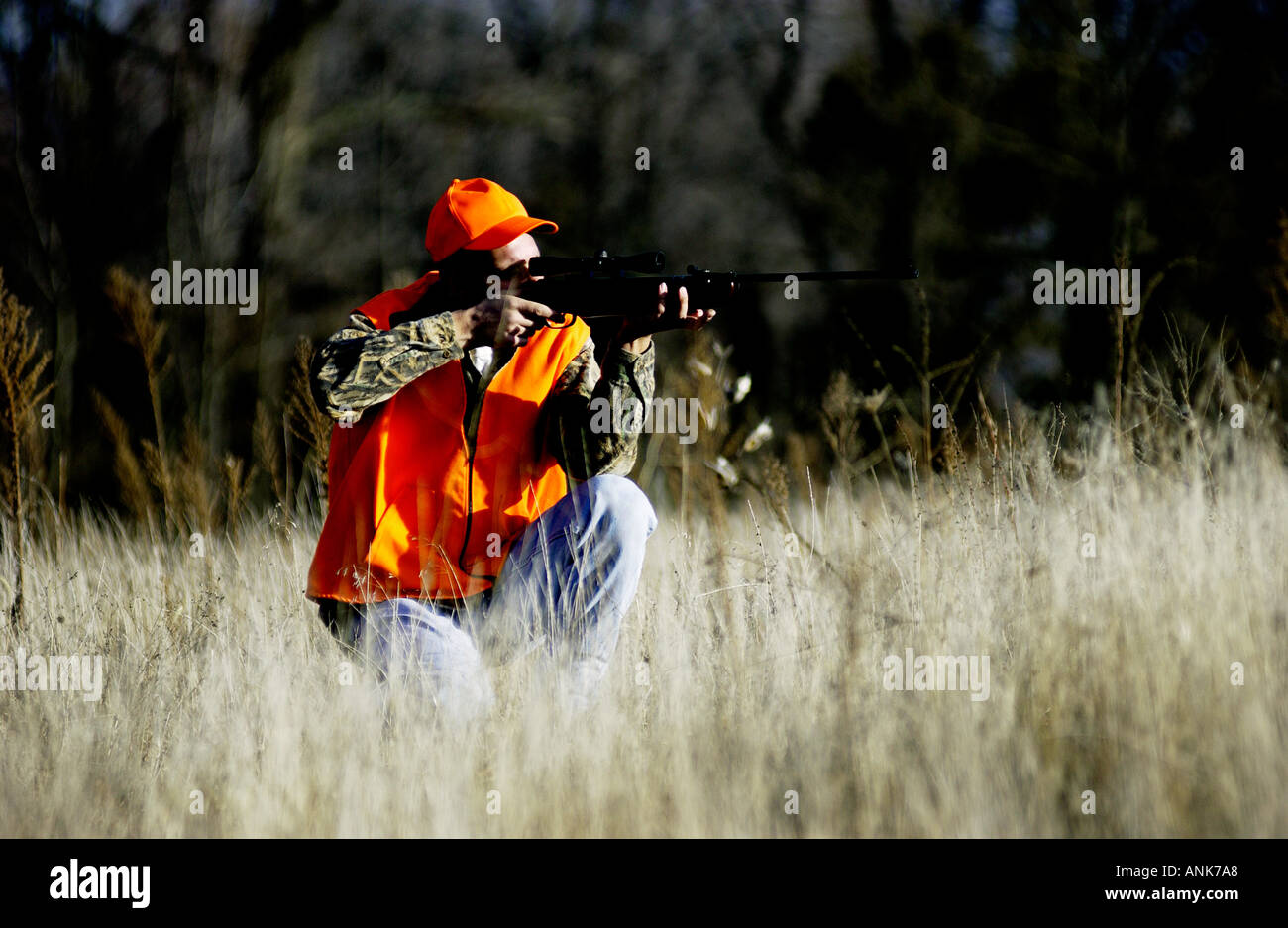 Shotgun marksmanship hi-res stock photography and images - Alamy