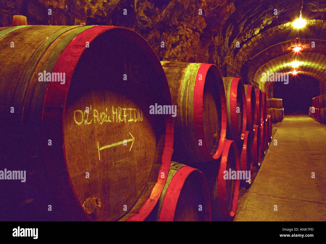 The Disznoko winery in Tokaj: In the underground cellar, rows of wooden ...