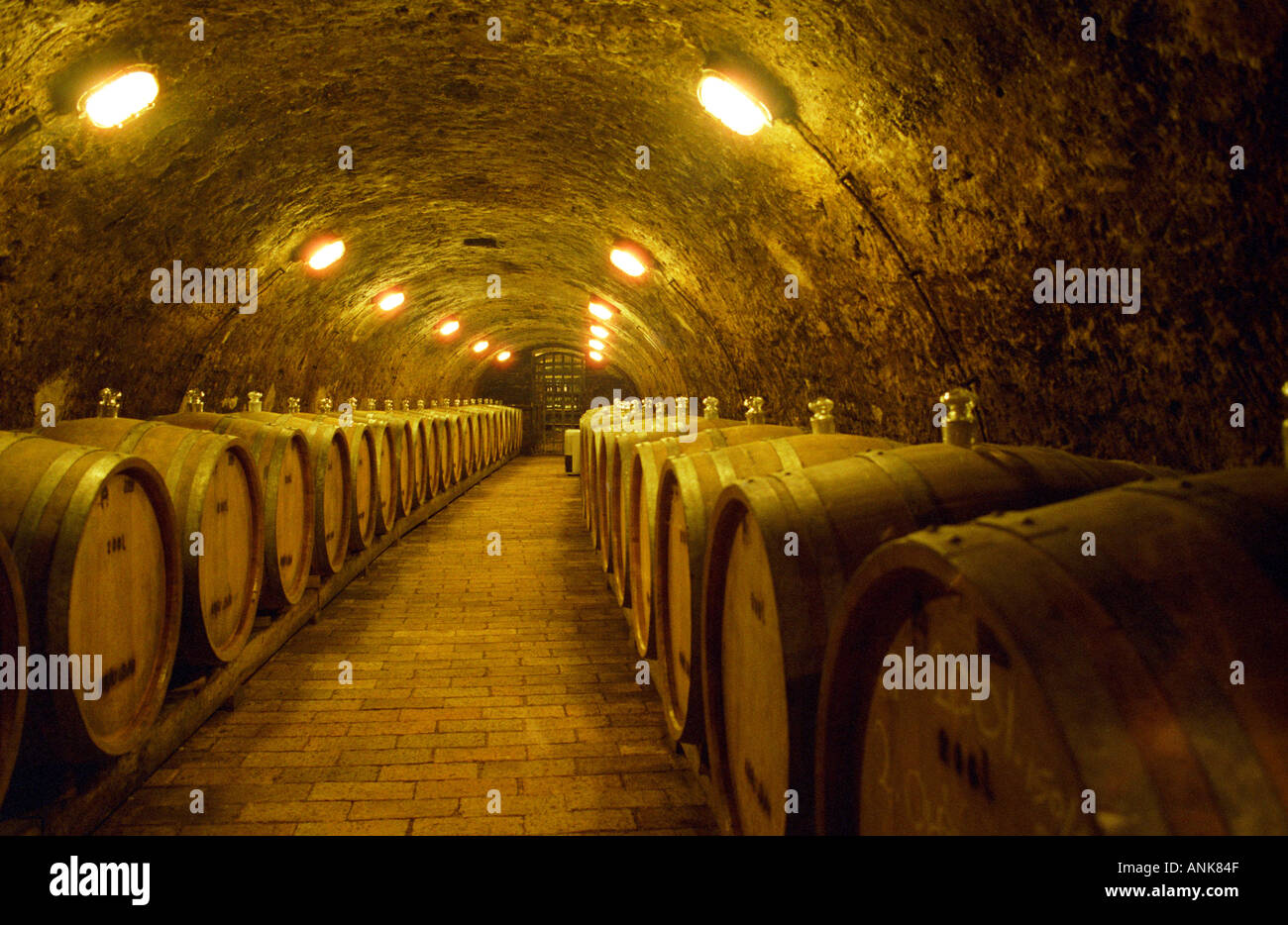 The Kiralyudvar winery: Rows of barrels with Tokaj wine with glass bung ...