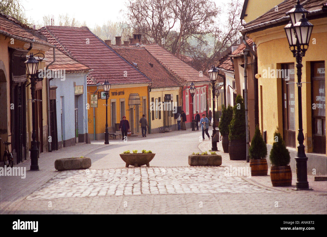 The Tokaj village: the main street with its colourful houses in blue ...