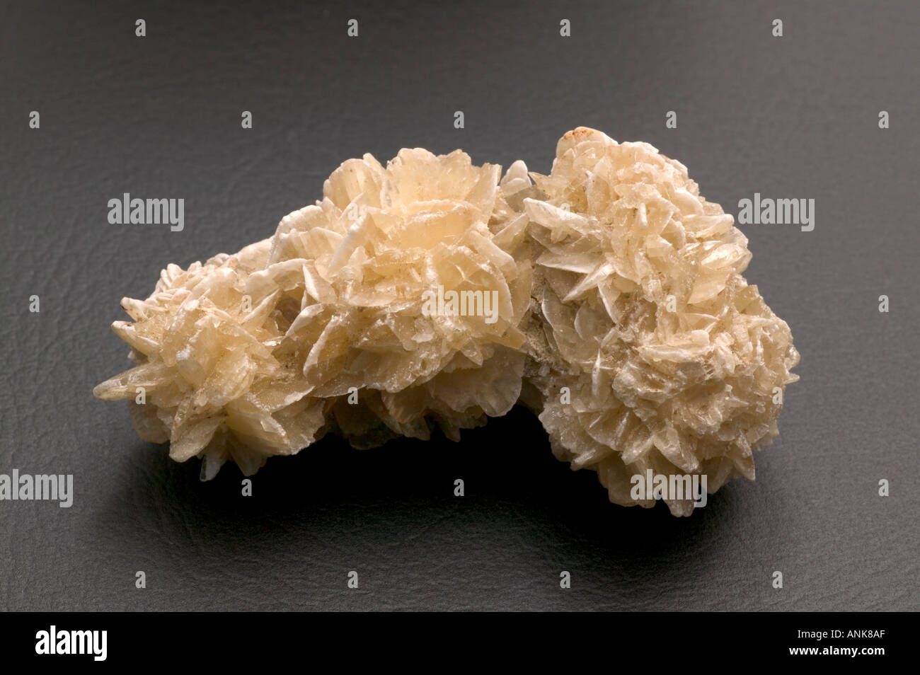 Desert rose natural formation Stock Photo - Alamy