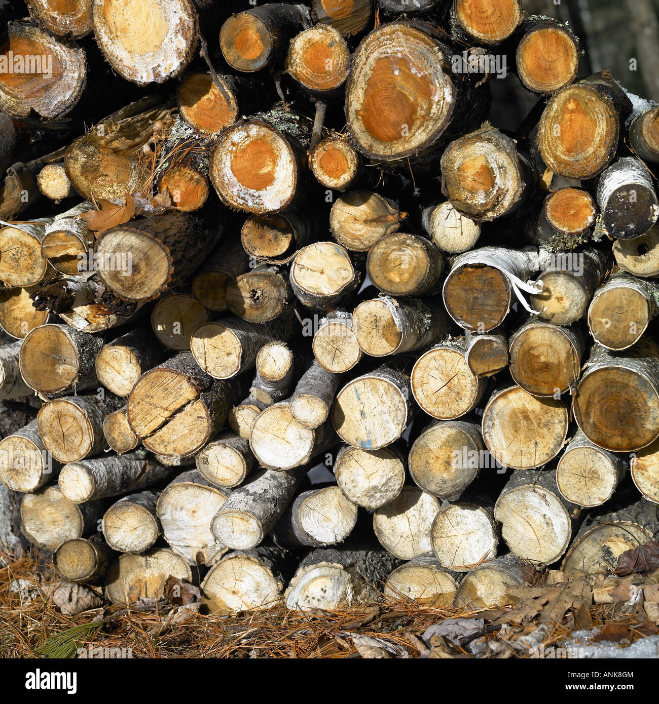 Stack of firewoods Stock Photo - Alamy
