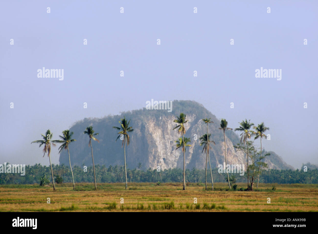 Limestone area hi-res stock photography and images - Alamy