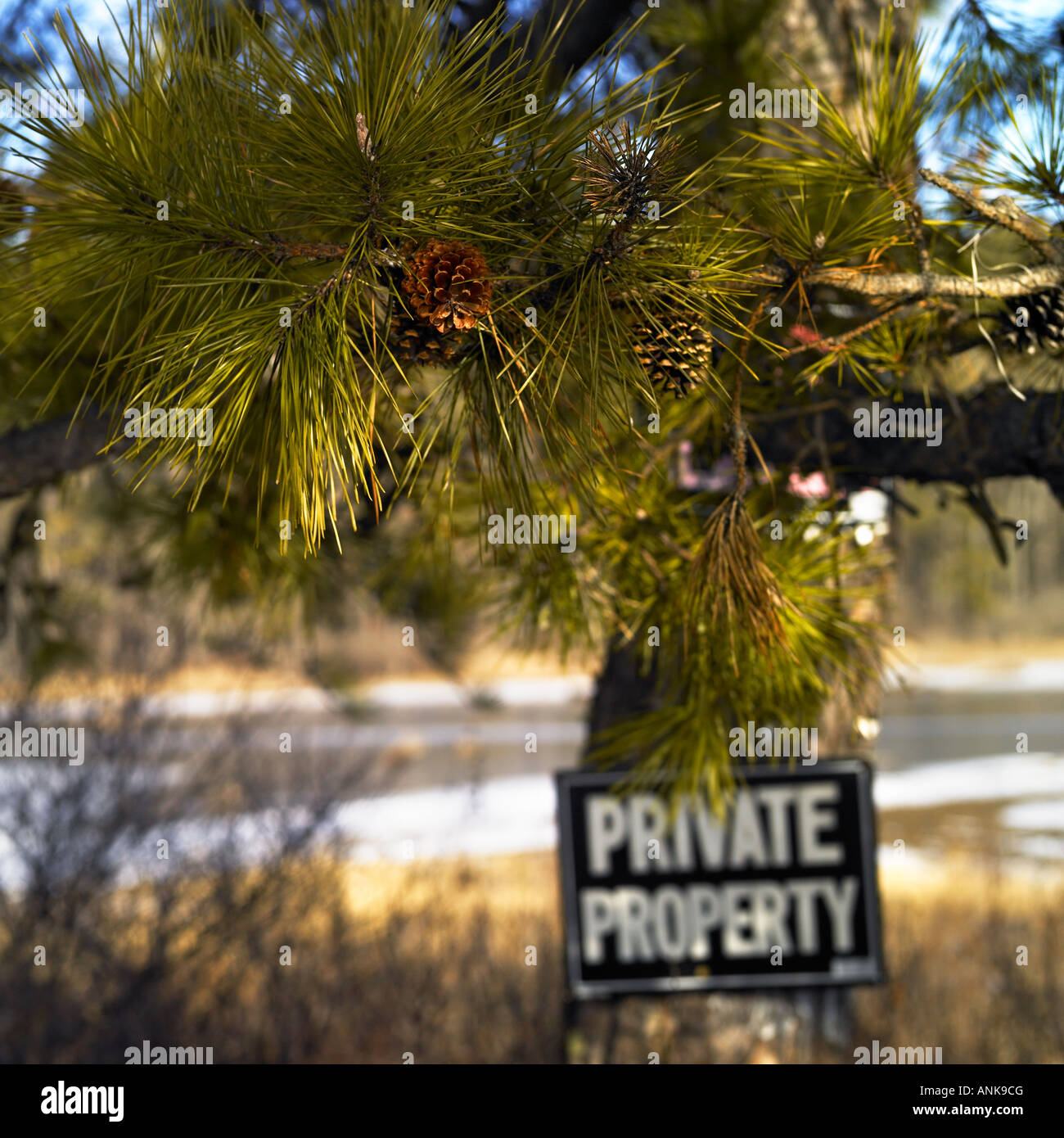 Polluted property hi-res stock photography and images - Alamy