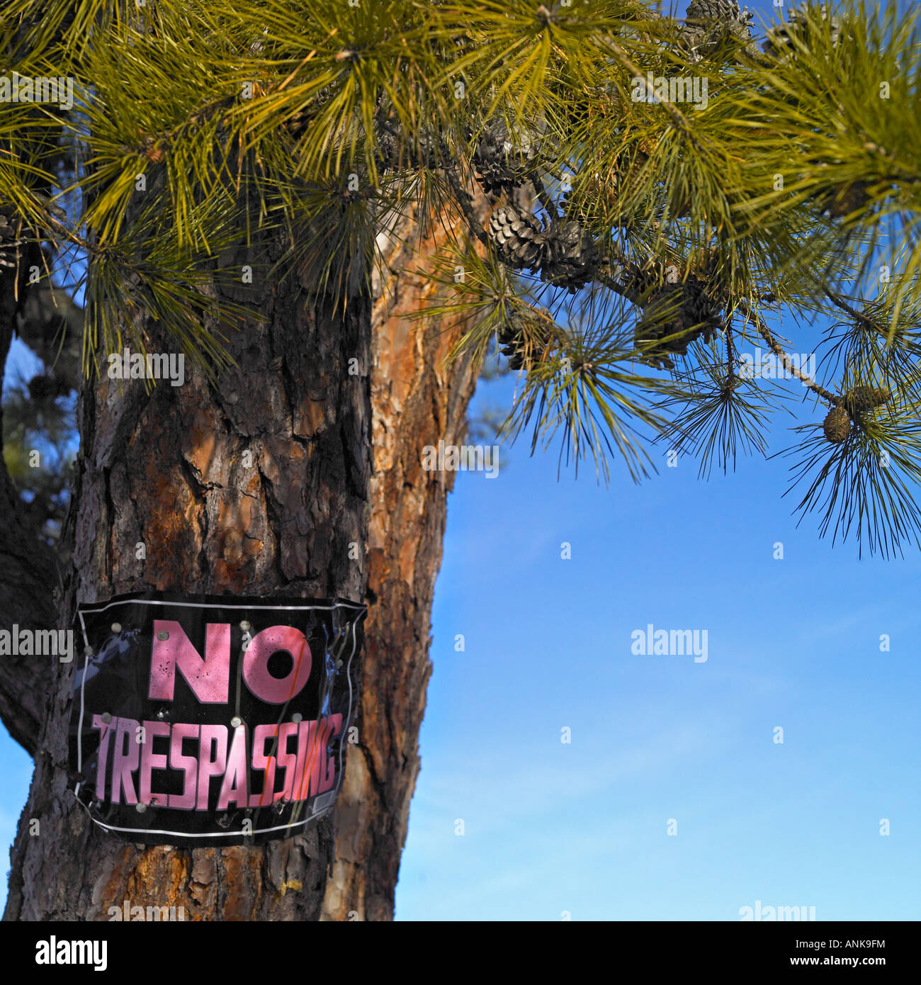 NO TRESPASSING sign on the tree Stock Photo - Alamy