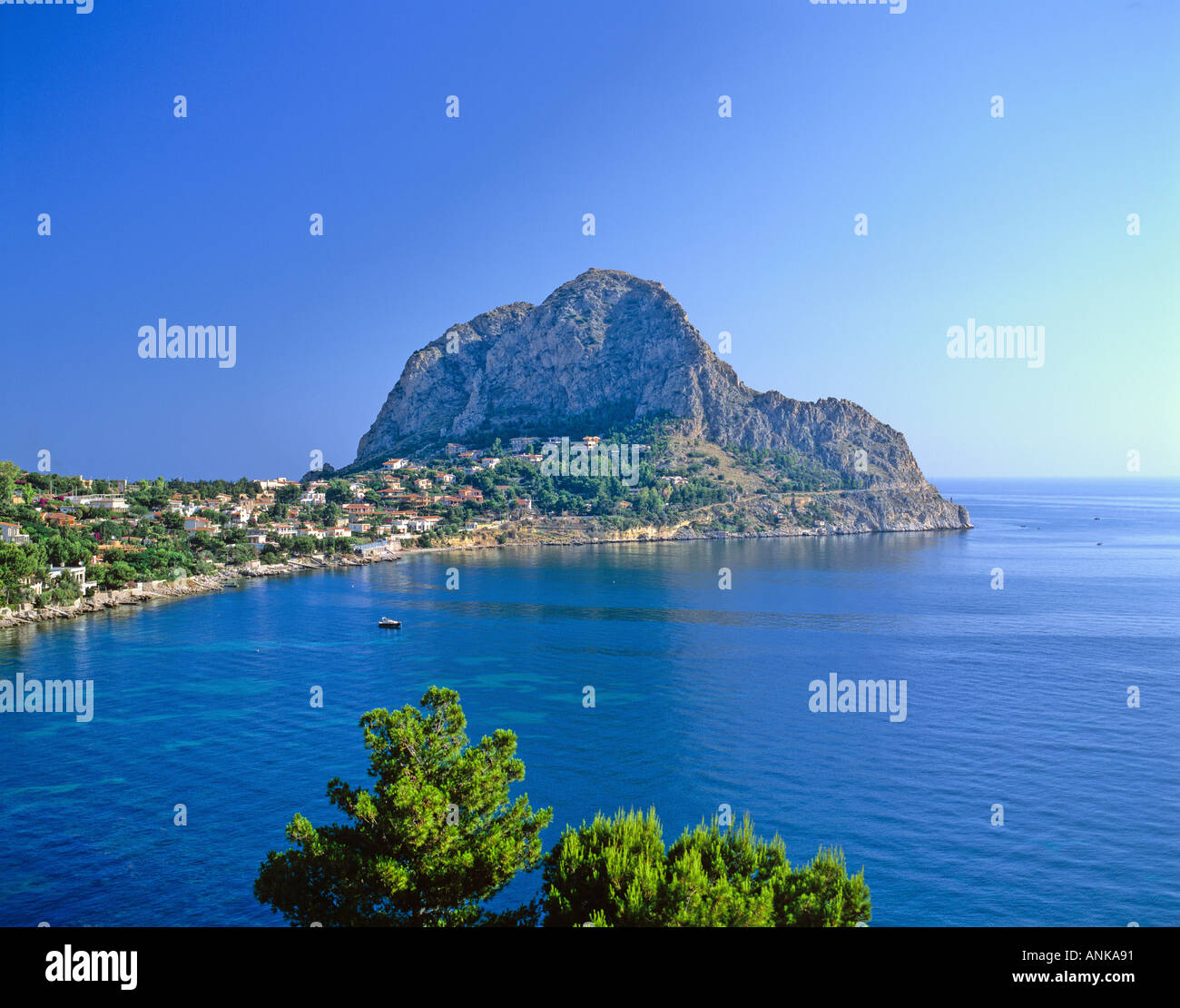 Cape zafferano hi-res stock photography and images - Alamy