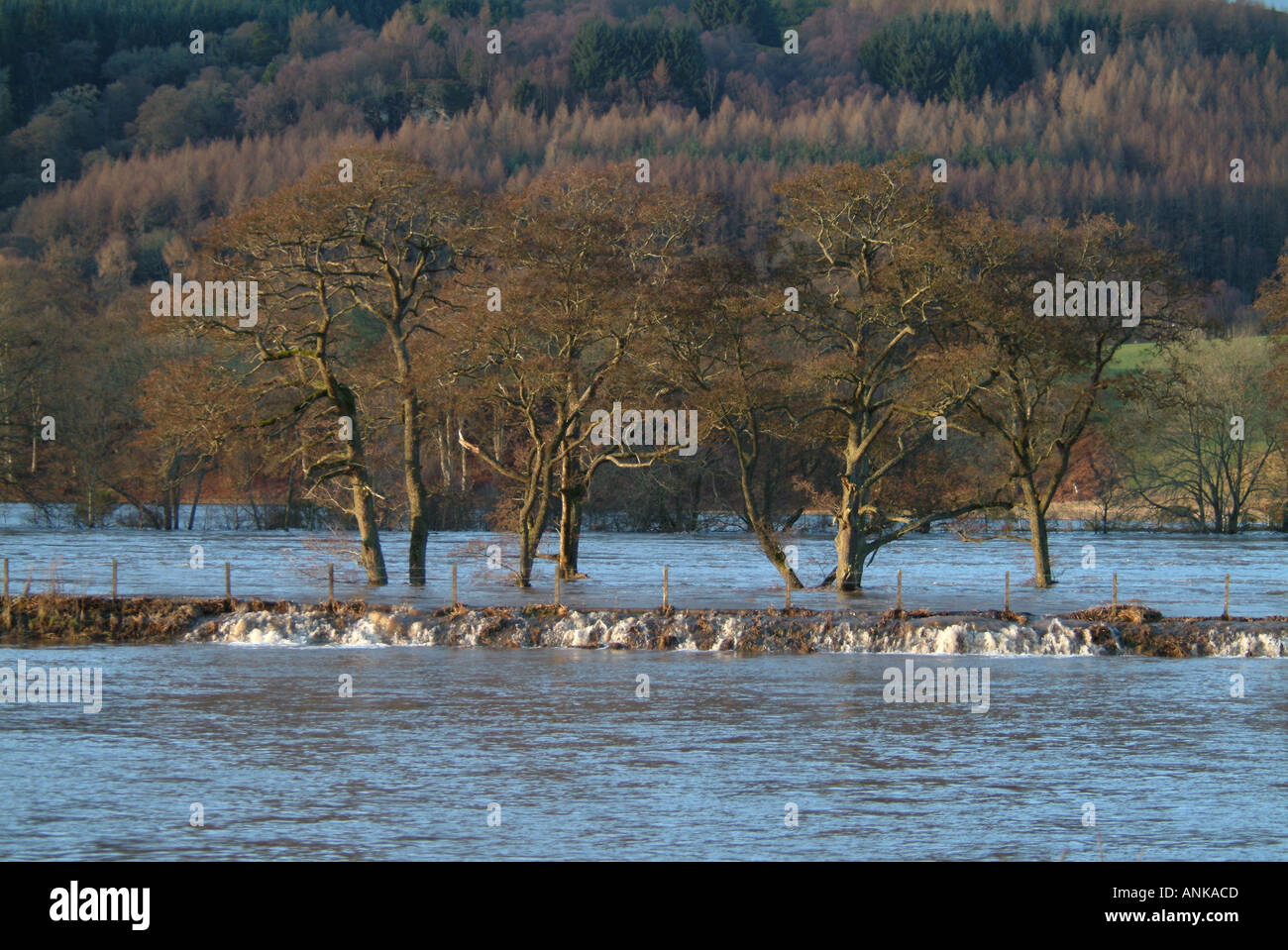 Scotland farm flooding hi-res stock photography and images - Alamy