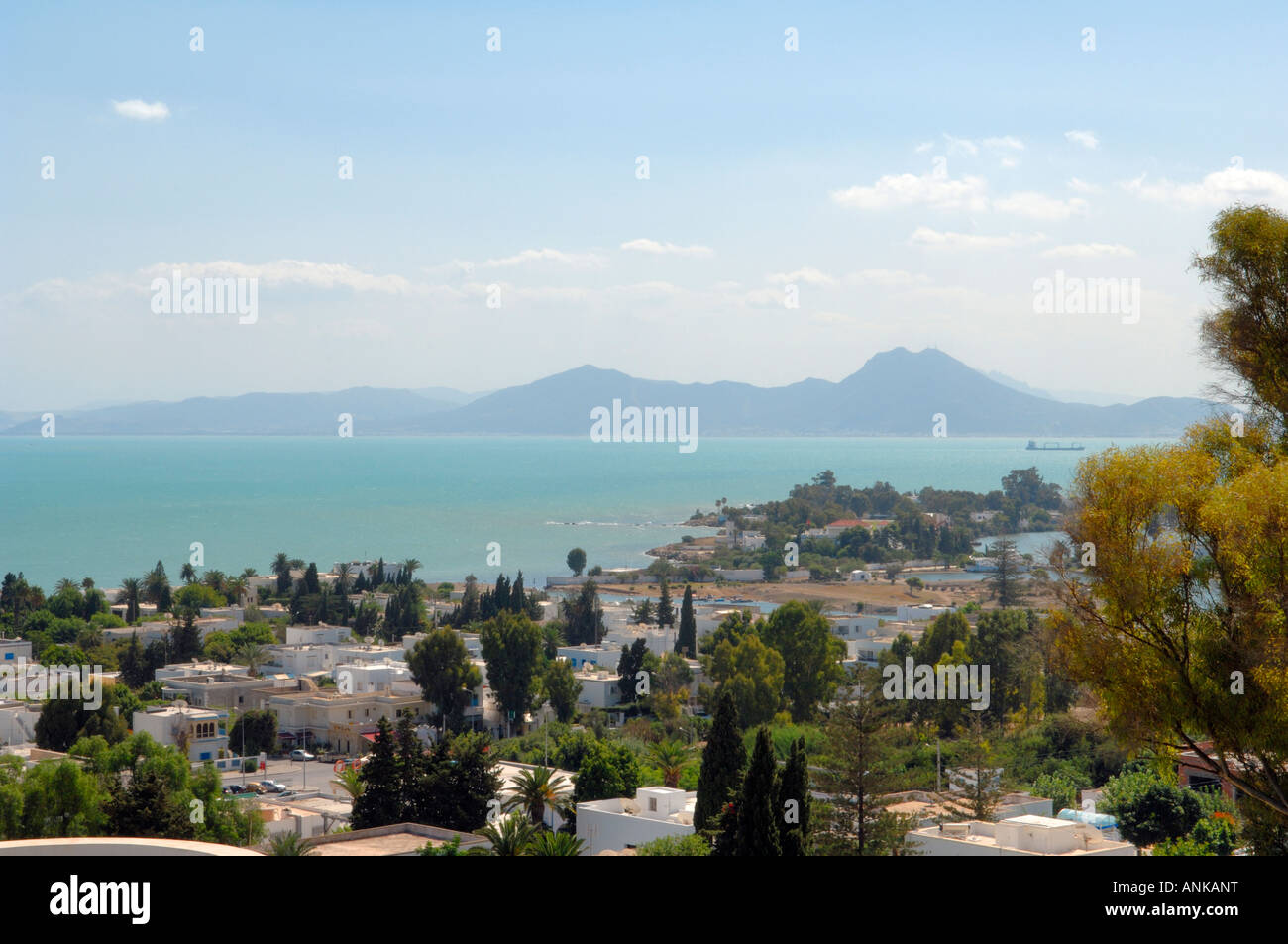 Carthage hi-res stock photography and images - Alamy