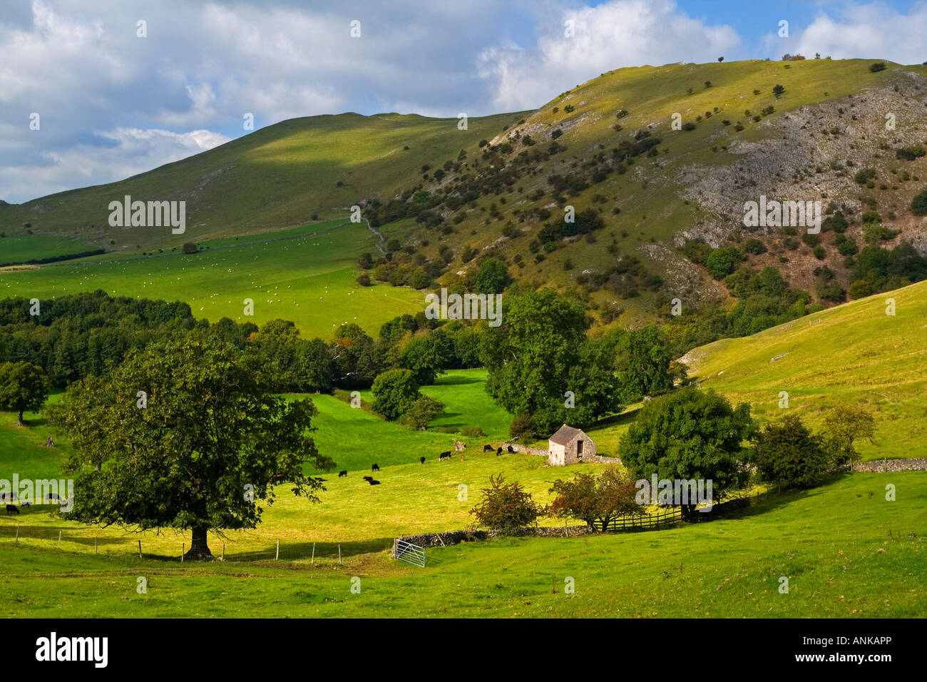 Upland landscape near Thorpe Cloud and Ilam in the Peak District ...