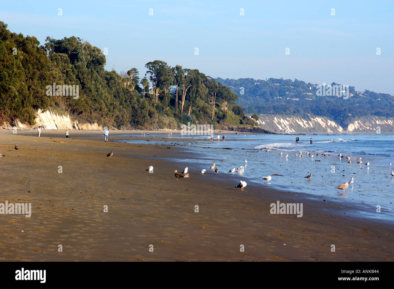 Goleta Beach Santa Barbara California Stock Photo - Alamy