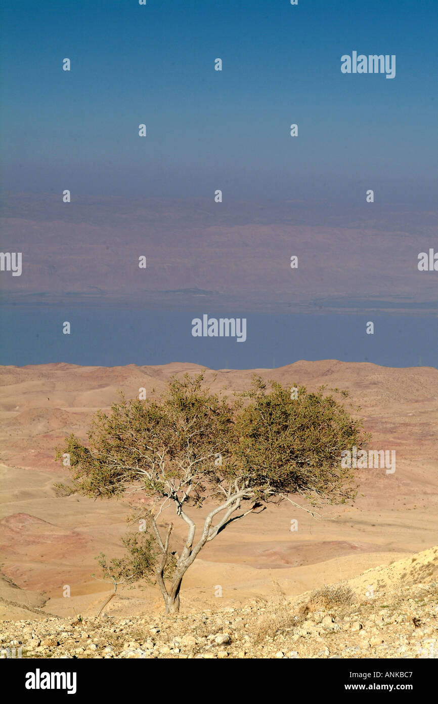 View of the Dead Sea and Israel from Mount Neba Jordan Stock Photo - Alamy