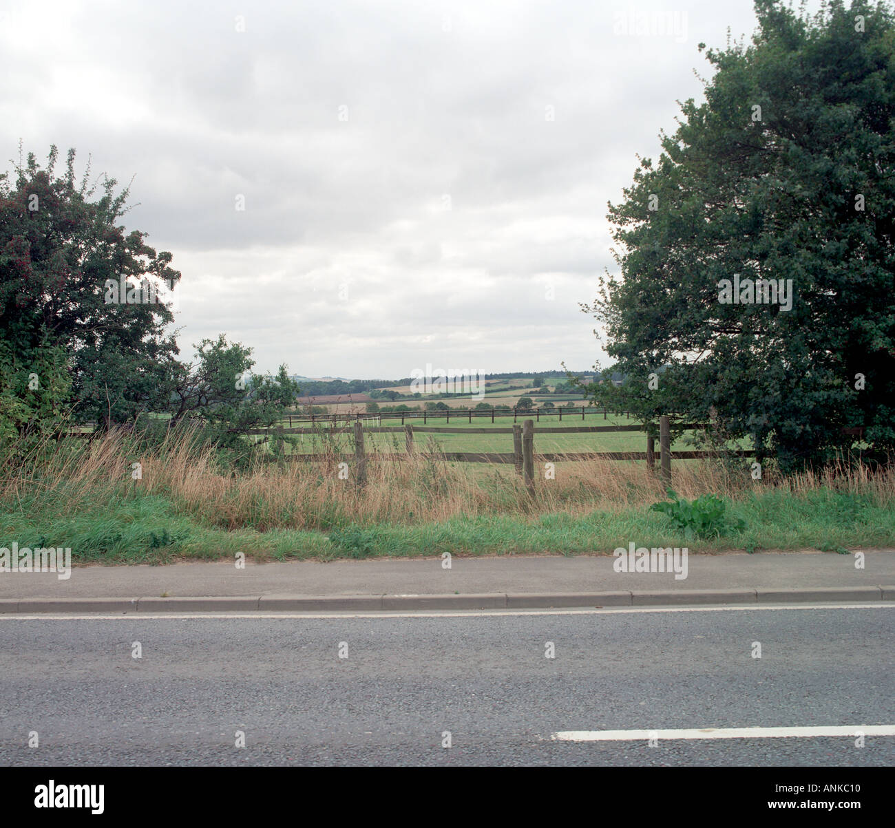 agriculture from the road with gap in hedge Stock Photo - Alamy