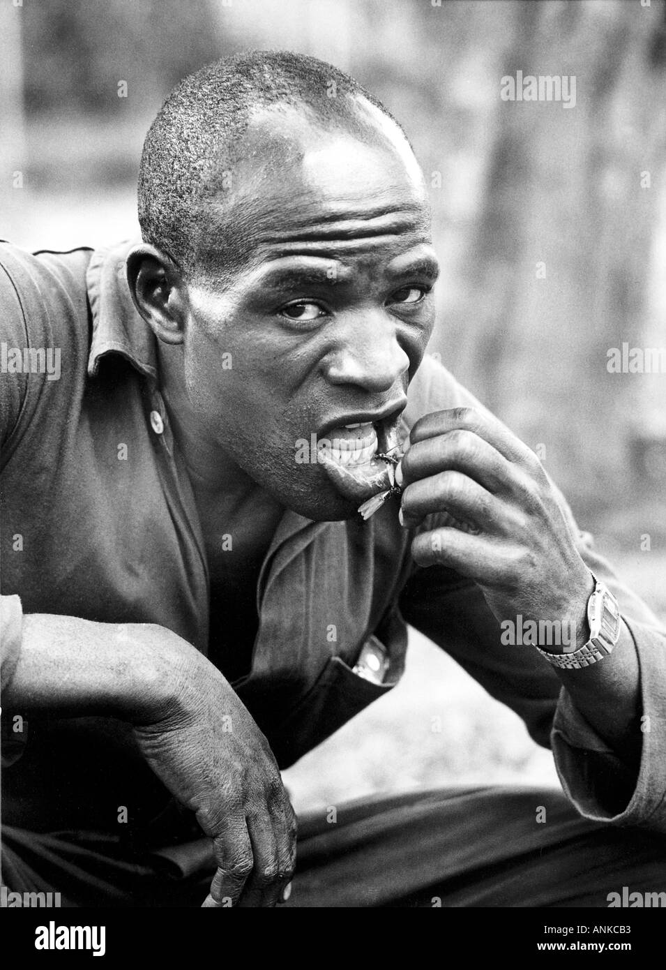 African man eating ants right of the soil Stock Photo - Alamy