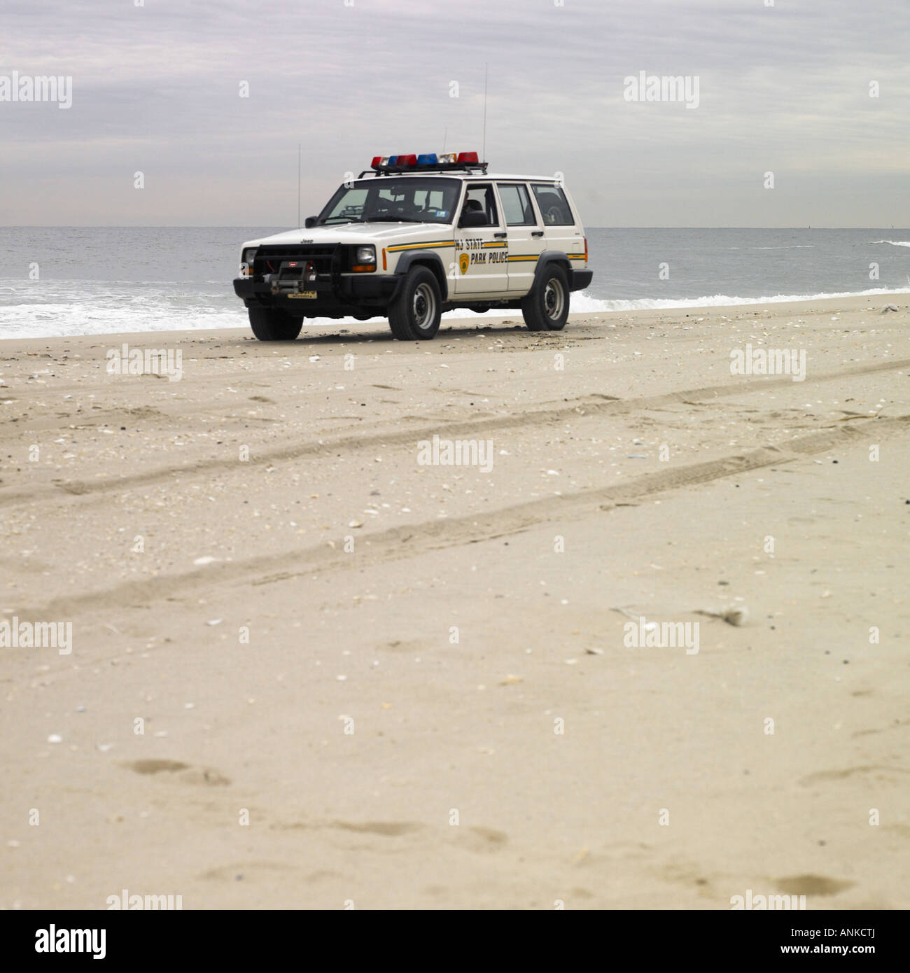 Park ranger car approaching Stock Photo - Alamy