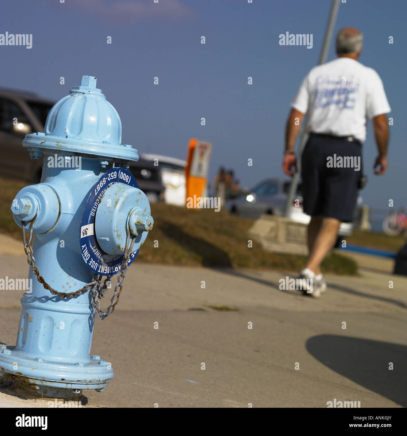 Blue fire hydrant Stock Photo - Alamy