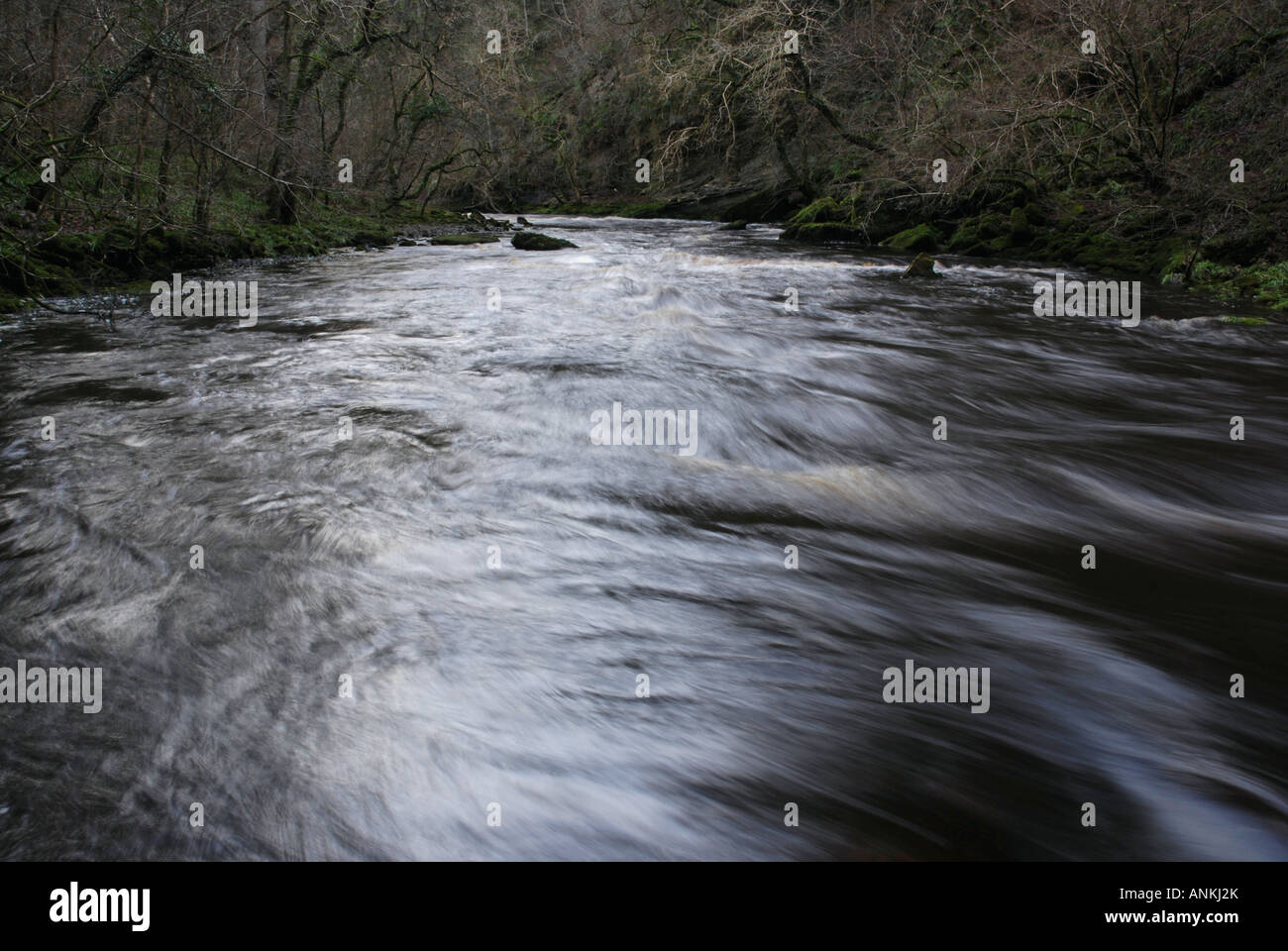 River irthing hi-res stock photography and images - Alamy