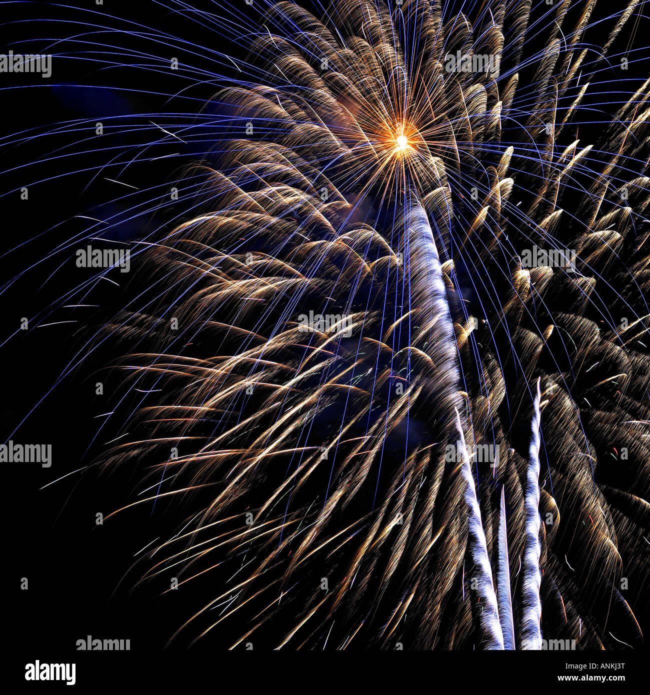 Firework burst-off high at the night sky Stock Photo - Alamy