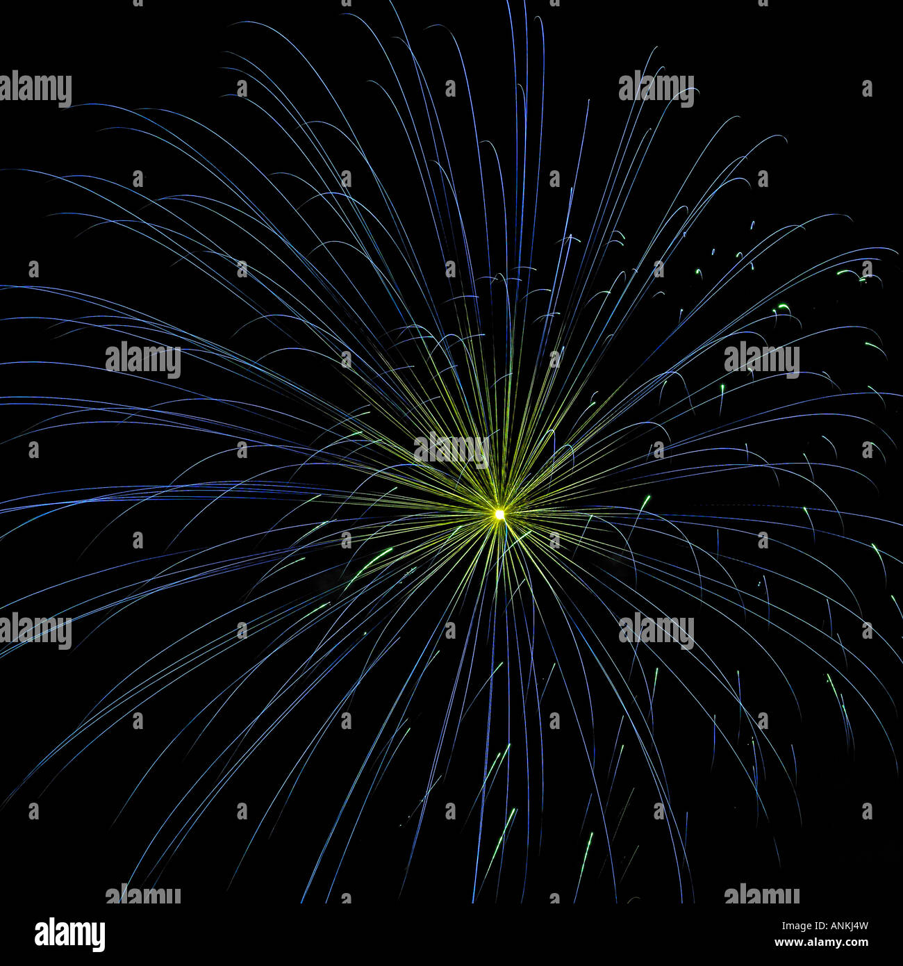 Firework burst-off high at the night sky Stock Photo - Alamy