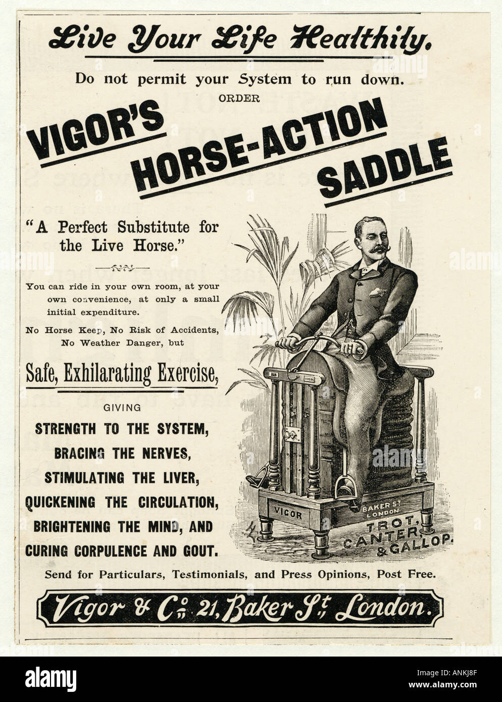 Vigor s hi-res stock photography and images - Alamy