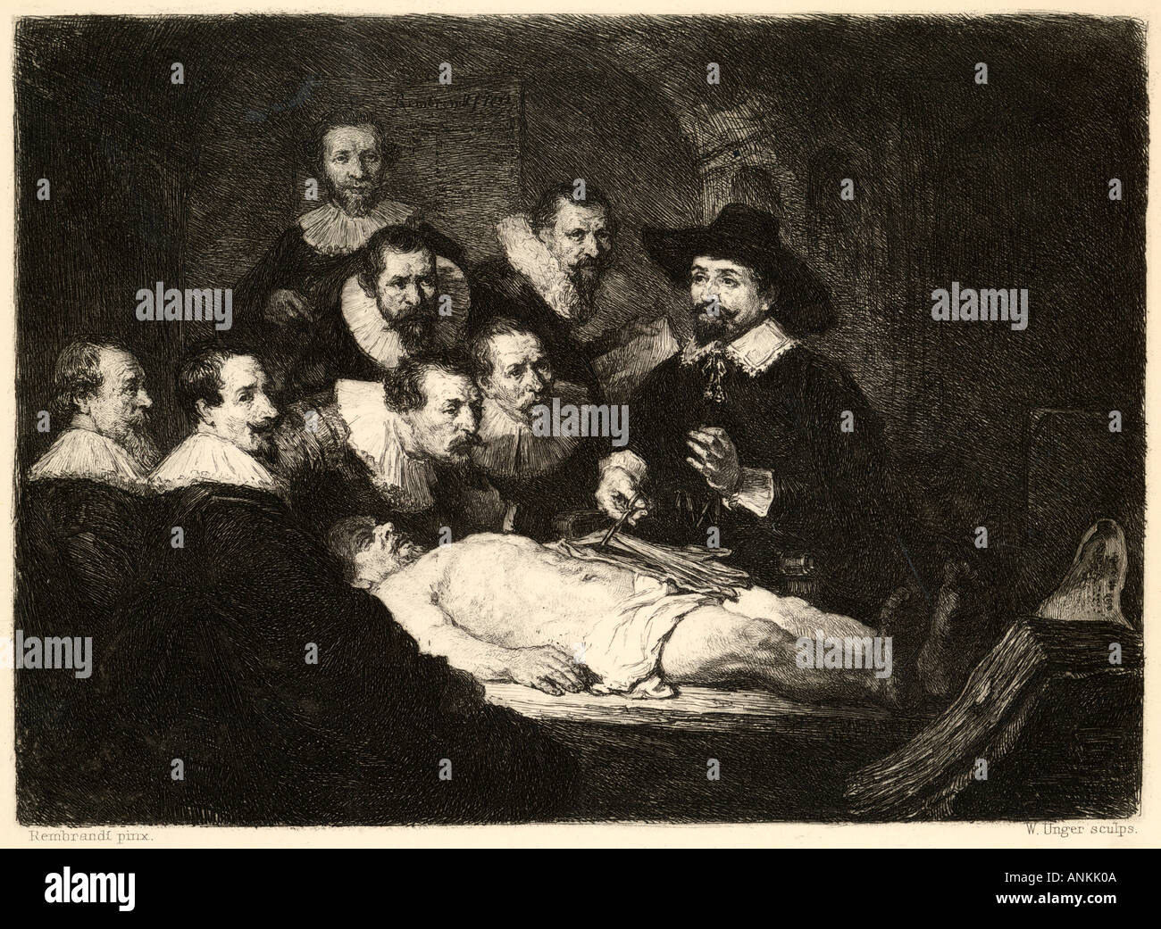 Dissection dissection hi-res stock photography and images - Alamy