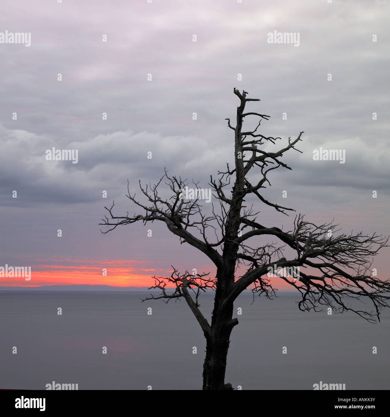 Age dead hi-res stock photography and images - Alamy