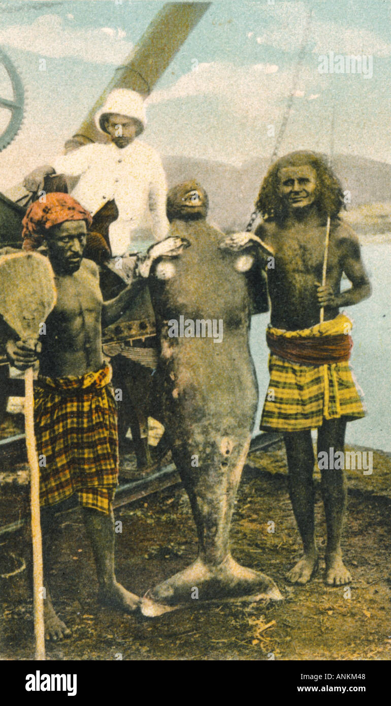 Look Alikes High Resolution Stock Photography and Images - Alamy