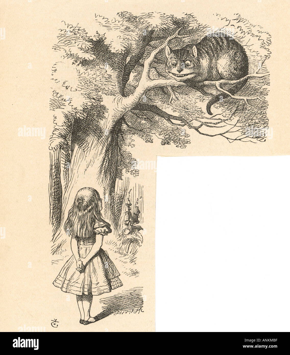 Alice Cheshire Cat Above Stock Photo - Alamy