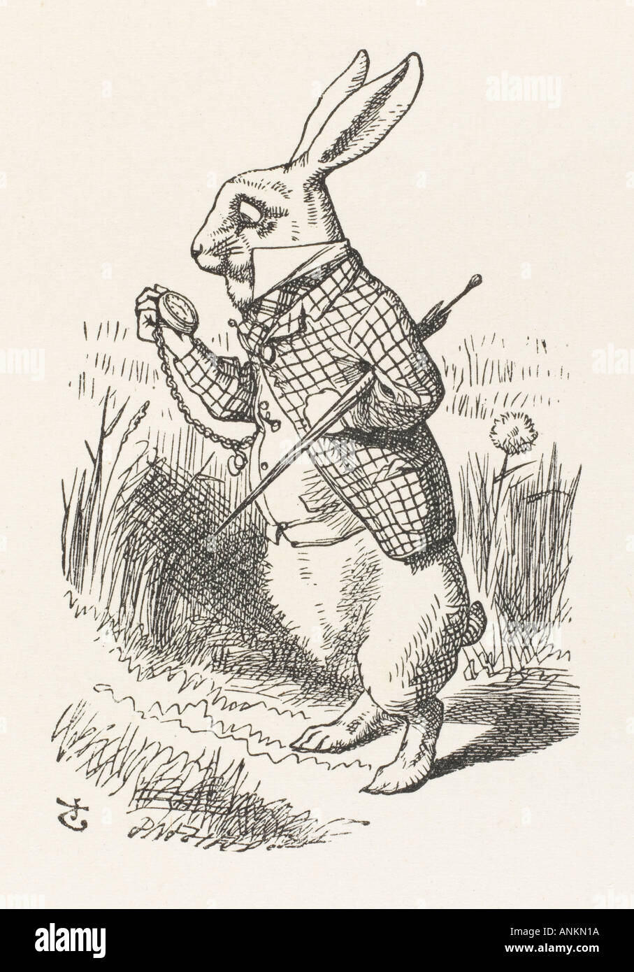 Alice rabbit hi-res stock photography and images - Alamy