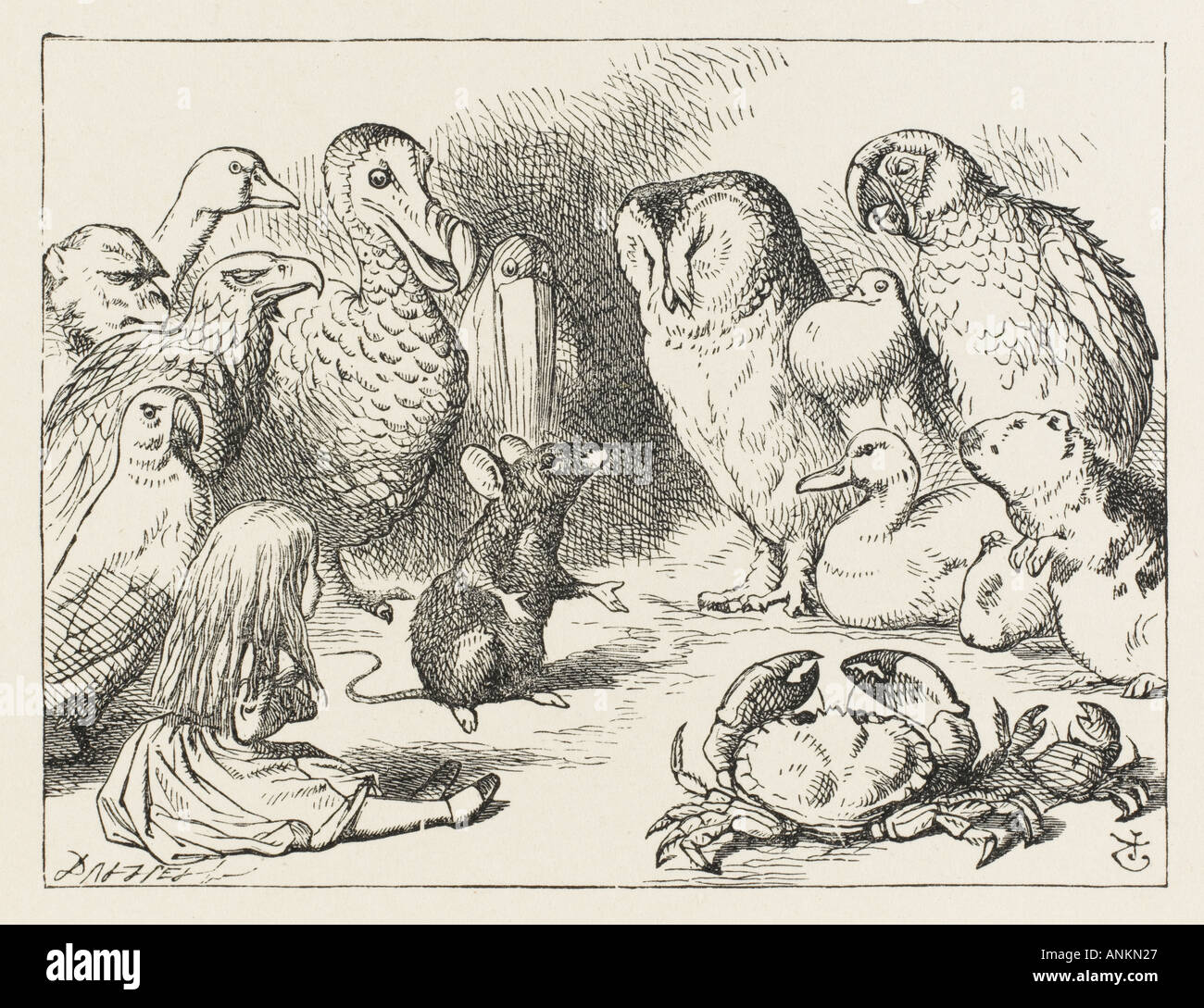 Alice Mouse Holds Court Stock Photo - Alamy