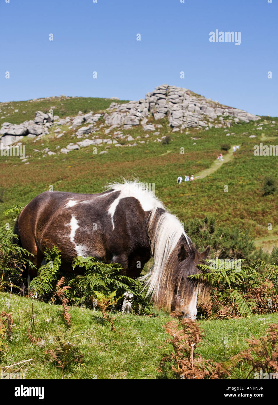 Bell tor hi-res stock photography and images - Alamy