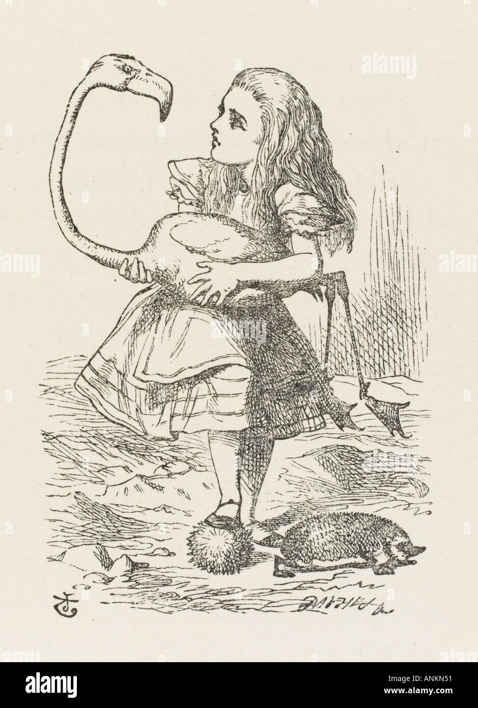 Alice With The Flamingo Stock Photo - Alamy