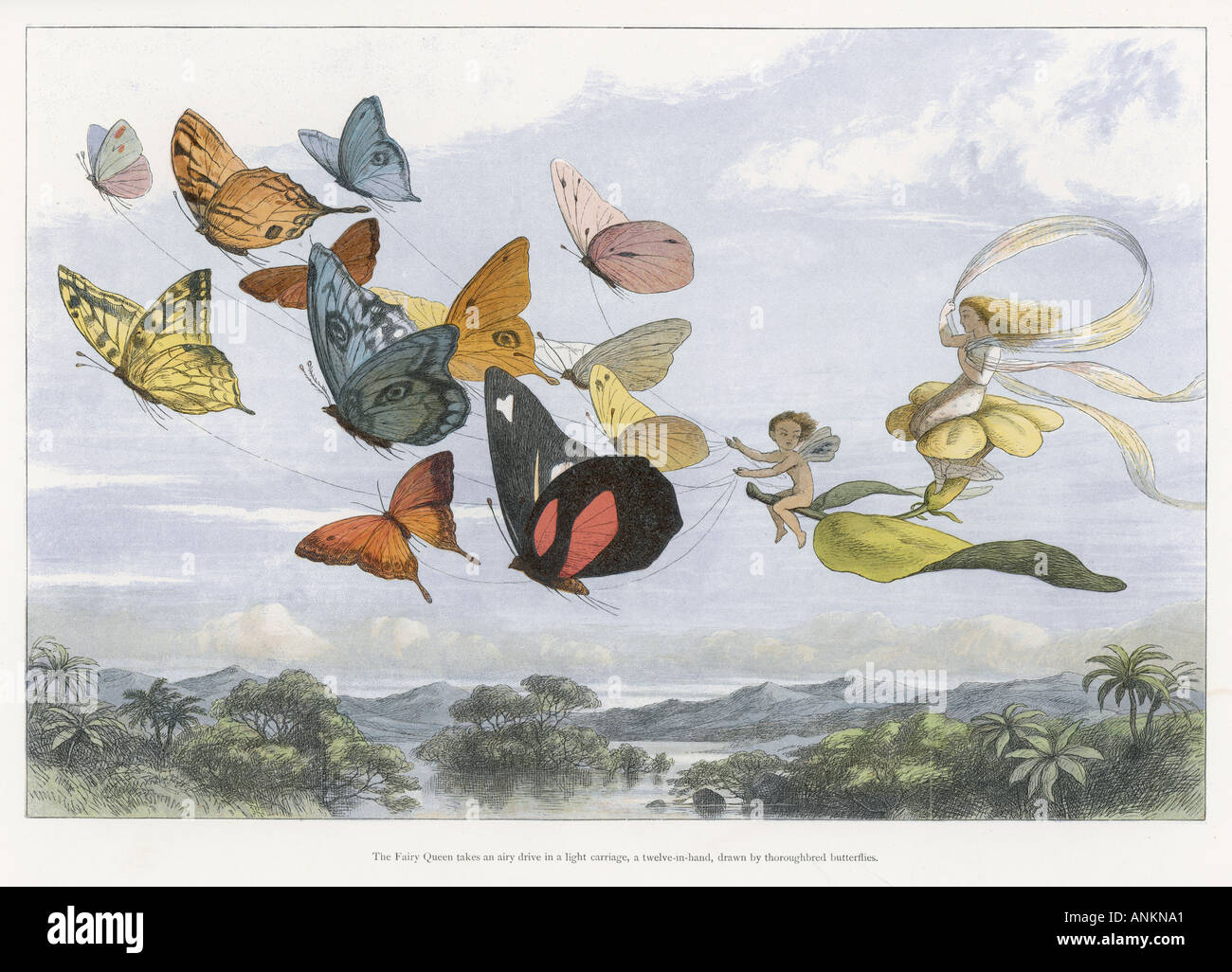 Queen of fairies hi-res stock photography and images - Alamy