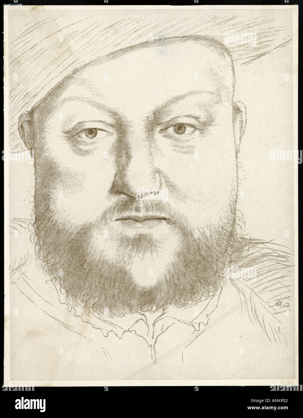 King Henry Viii Drawn Stock Photo - Alamy
