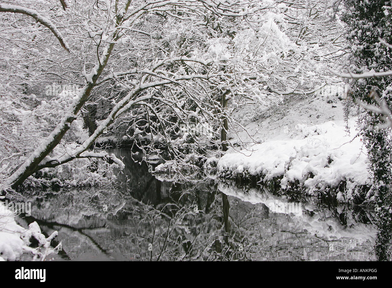 A series of snow scenes taken around the village of Crumlin, County ...