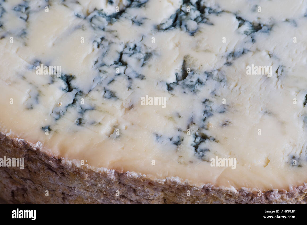 Stilton cheese rind hi-res stock photography and images - Alamy