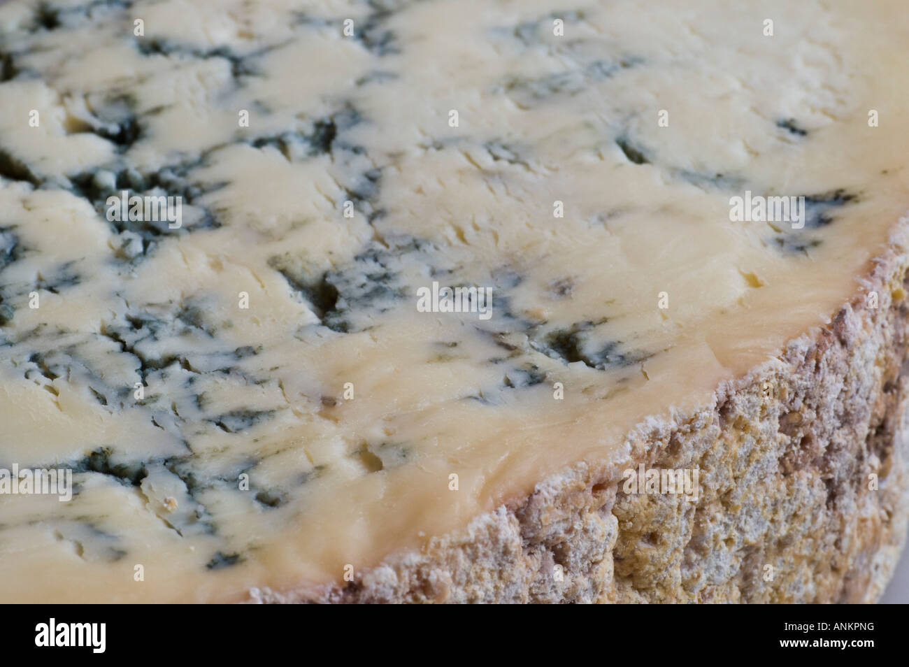 Stilton cheese rind hi-res stock photography and images - Alamy